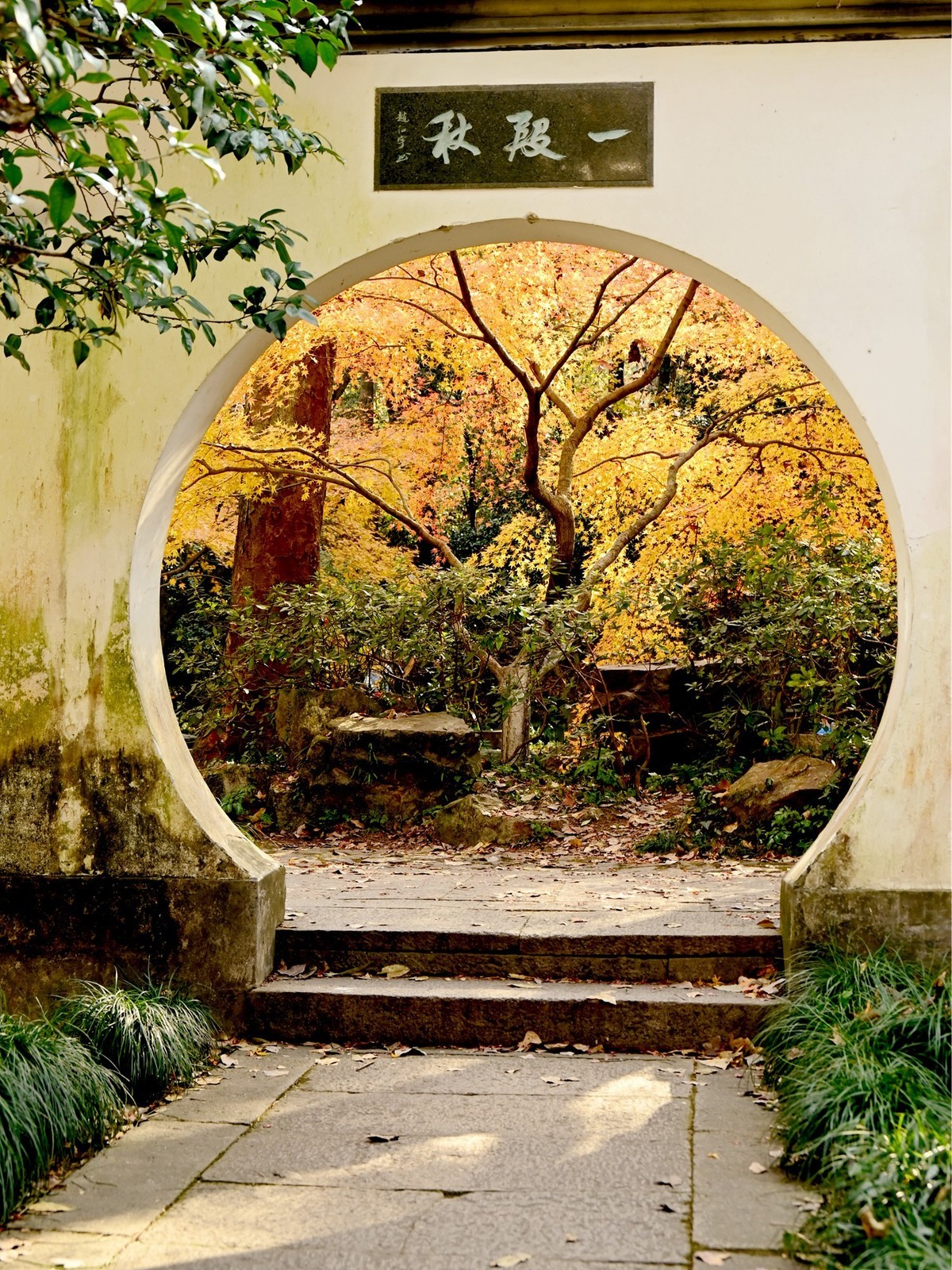 【虎跑泉赏秋—尼康Z5 24-200旅游头 直出】-中关村在线摄影论坛