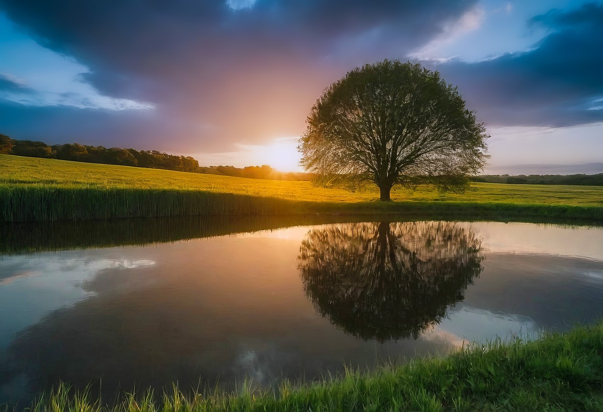 静谧之美-中关村在线摄影论坛