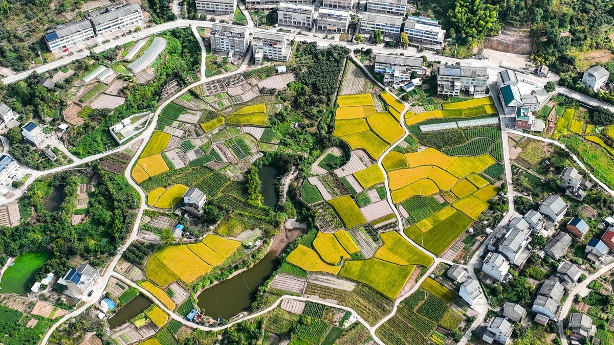 一组航拍照-中关村在线摄影论坛