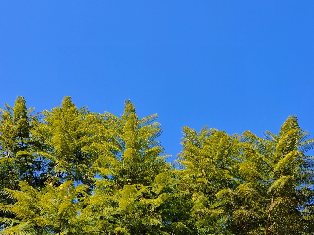 2023年随拍一3-中关村在线摄影论坛