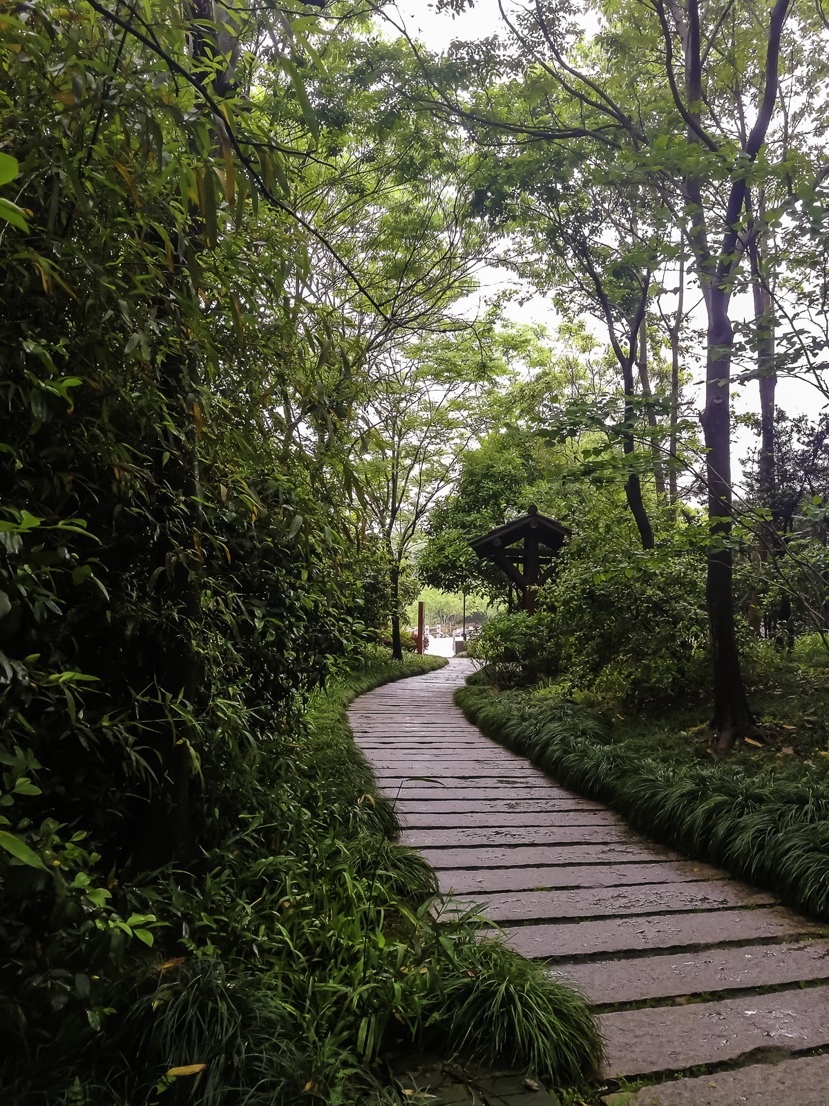 无锡蠡园 ～ 掠影-中关村在线摄影论坛