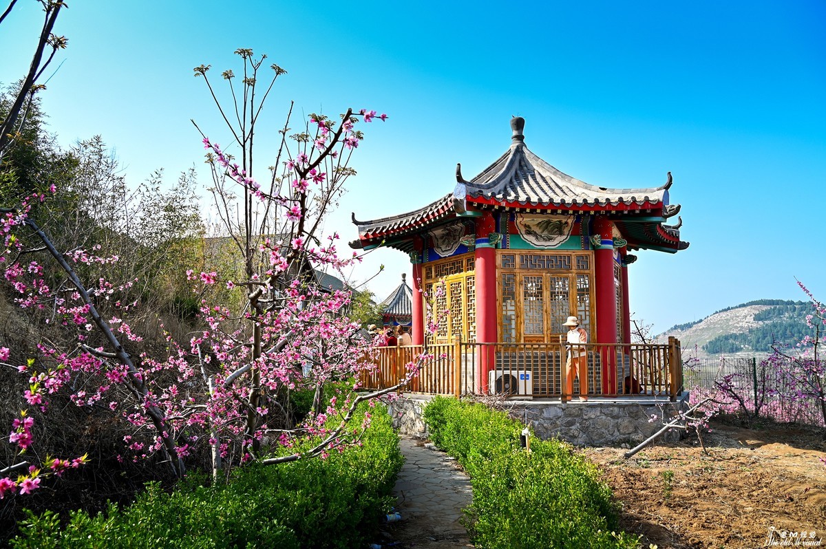 黑牛山春色-中关村在线摄影论坛