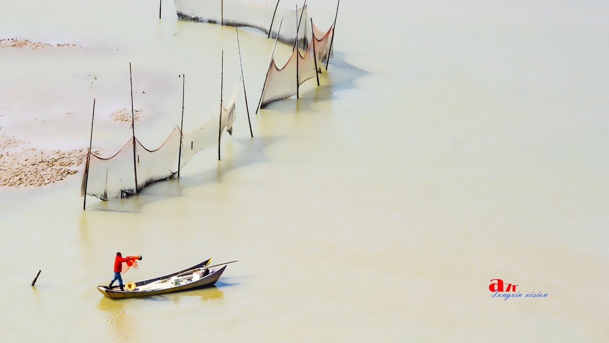 鹅湾红树林（15）-中关村在线摄影论坛