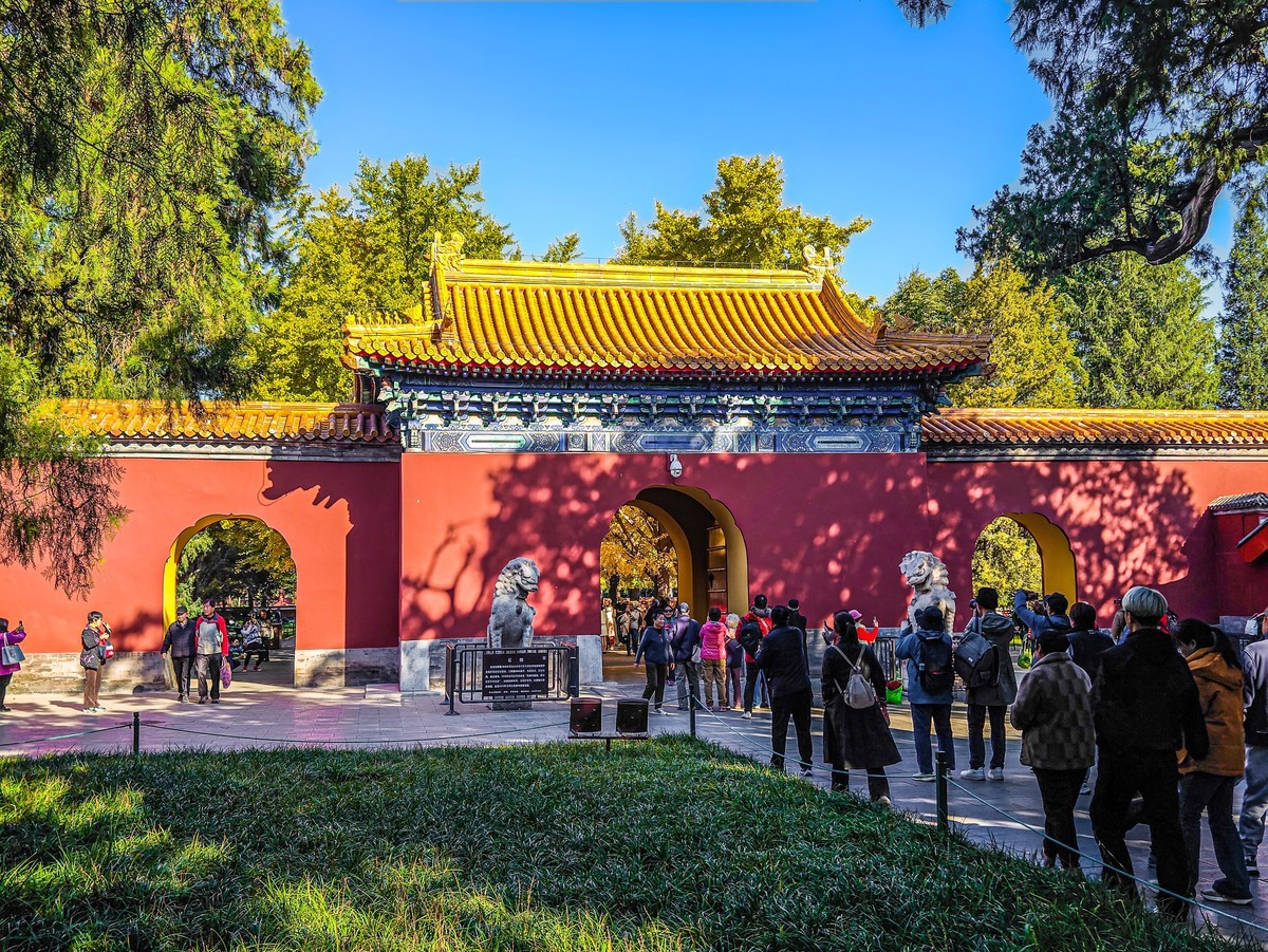 手机游拍20241105 《4》-中关村在线摄影论坛