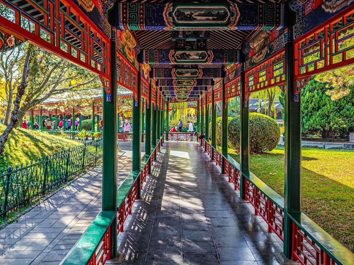 手机游拍20241105 《4》-中关村在线摄影论坛