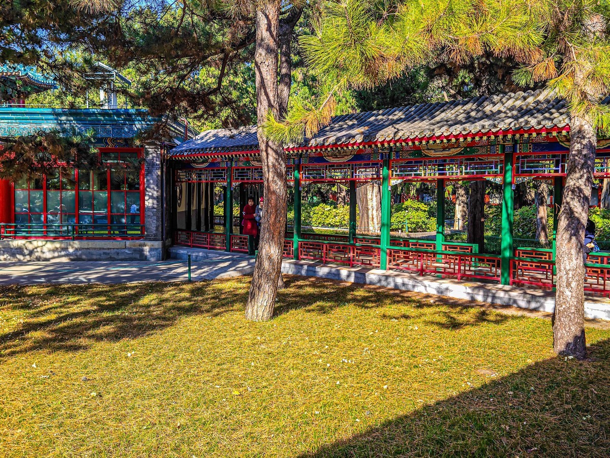 手机游拍20241105 《4》-中关村在线摄影论坛