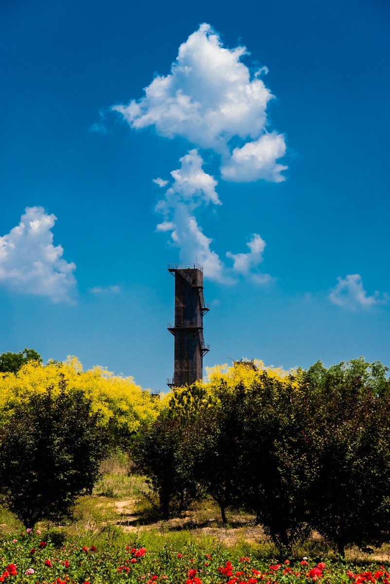 【镜头里】第1363号：唐山花海·后园博时代的城市名片（十二）-中关村在线摄影论坛