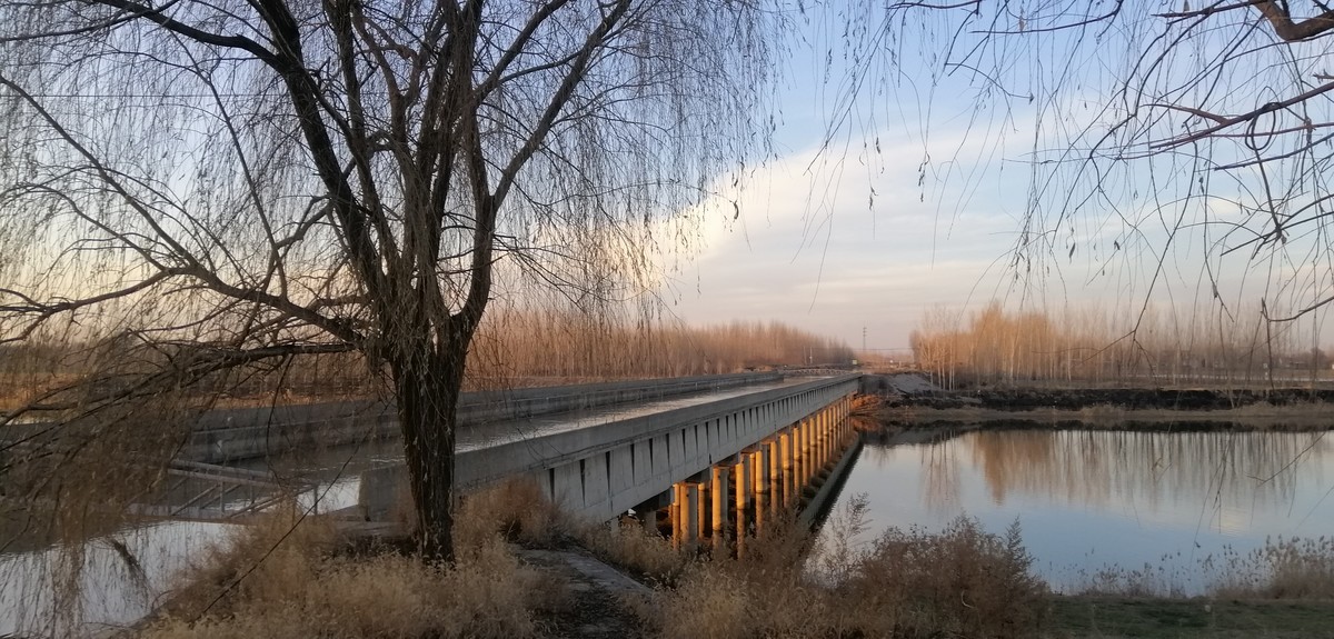 Sun shines on zhe Tuhai River(太阳照在徒骇河上)-中关村在线摄影论坛