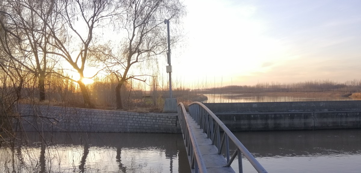 Sun shines on zhe Tuhai River(太阳照在徒骇河上)-中关村在线摄影论坛