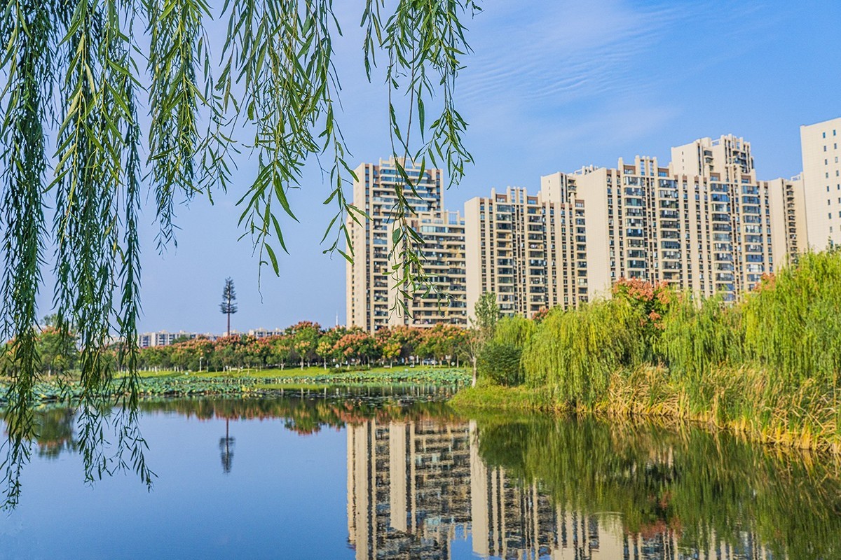 秋入湿地公园-中关村在线摄影论坛