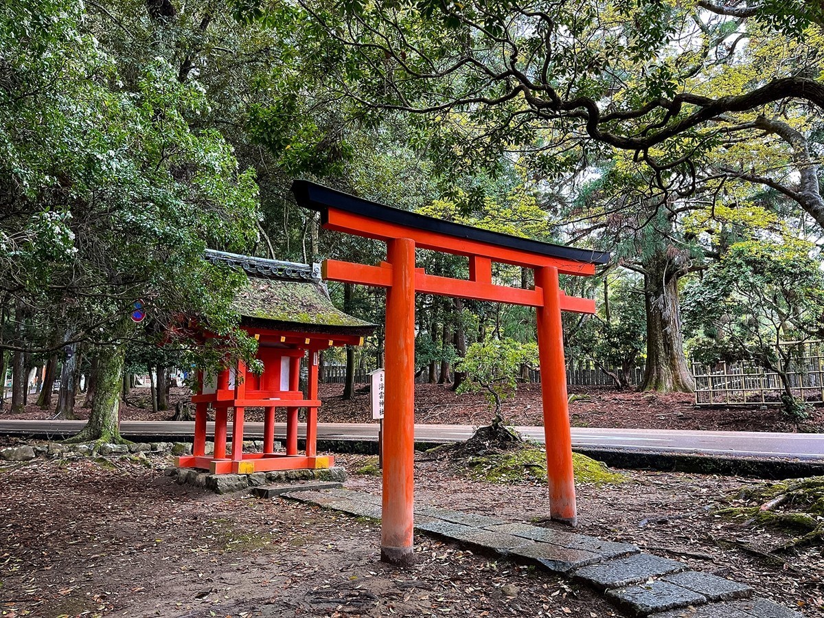 2025年第0251贴-奈良之行纪实拍（0420）-中关村在线摄影论坛