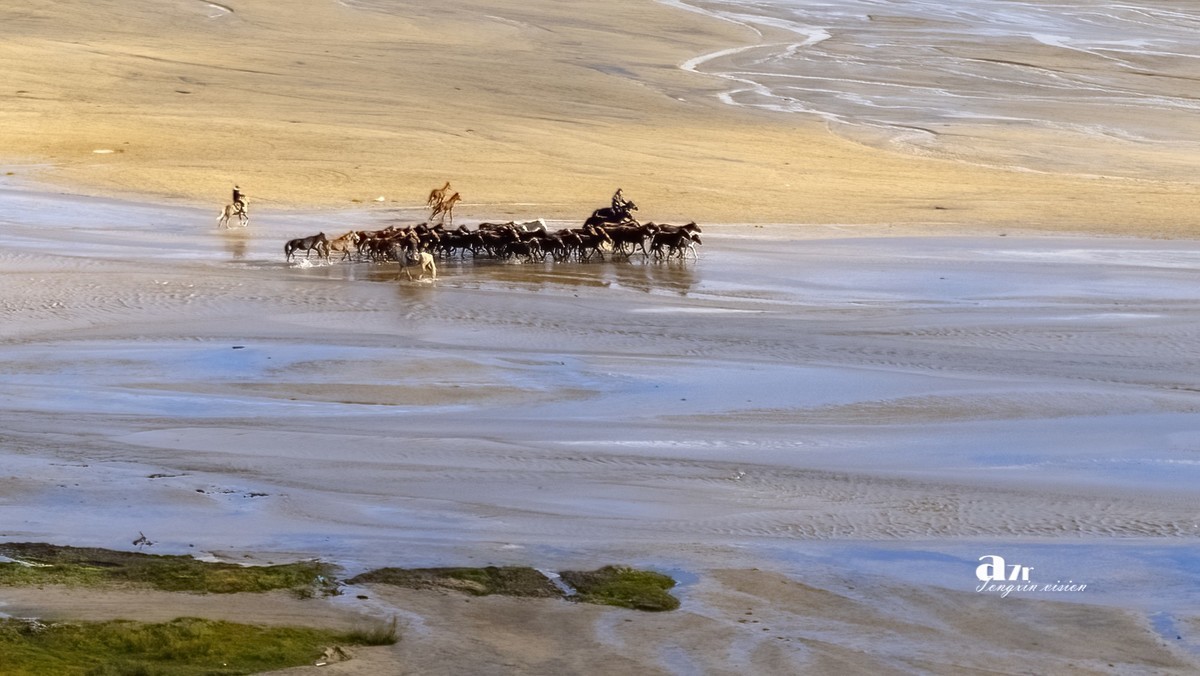 乌兰布统——天太永（2）-中关村在线摄影论坛