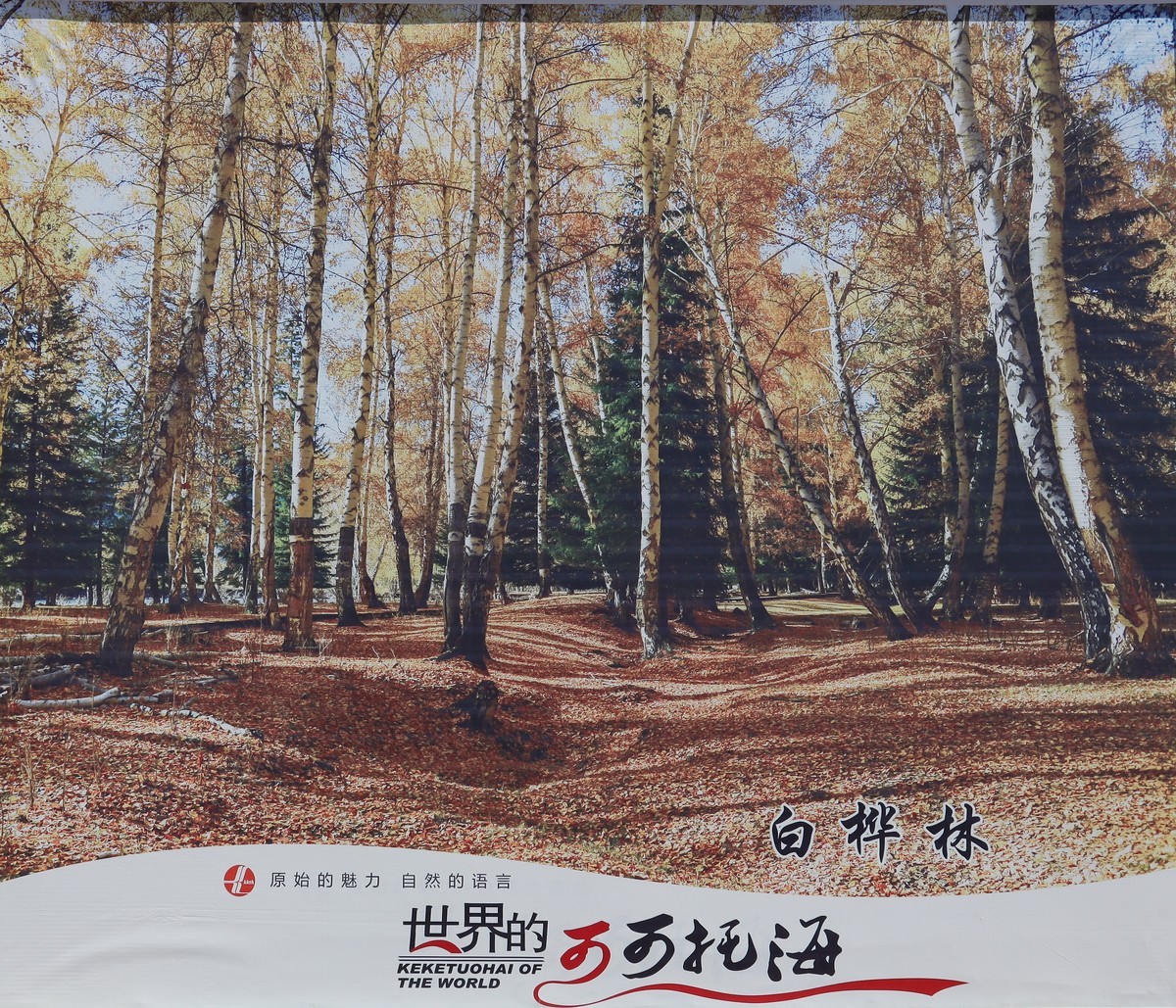 2021新疆之行0720富蕴县--可可托海-中关村在线摄影论坛