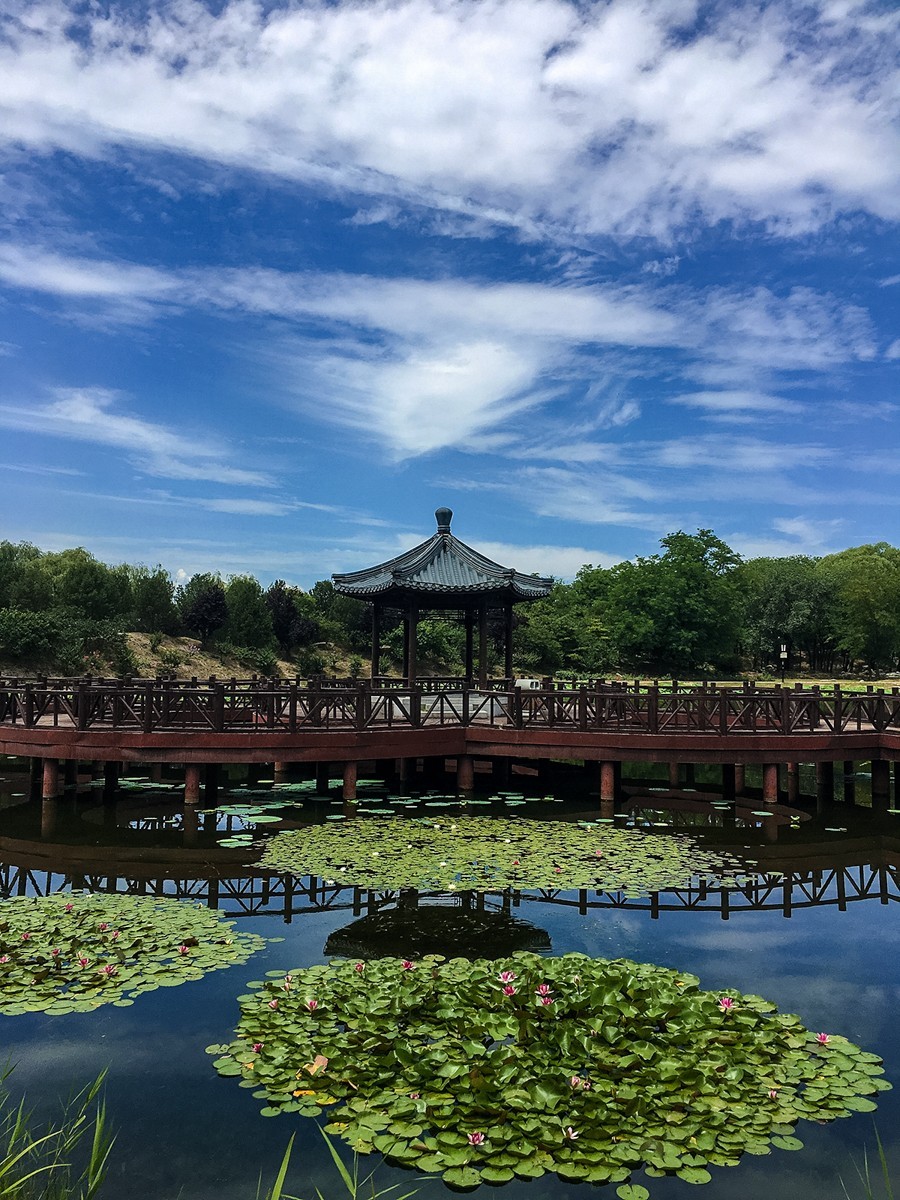 2023年-公园风光纪实抓拍-834-中关村在线摄影论坛