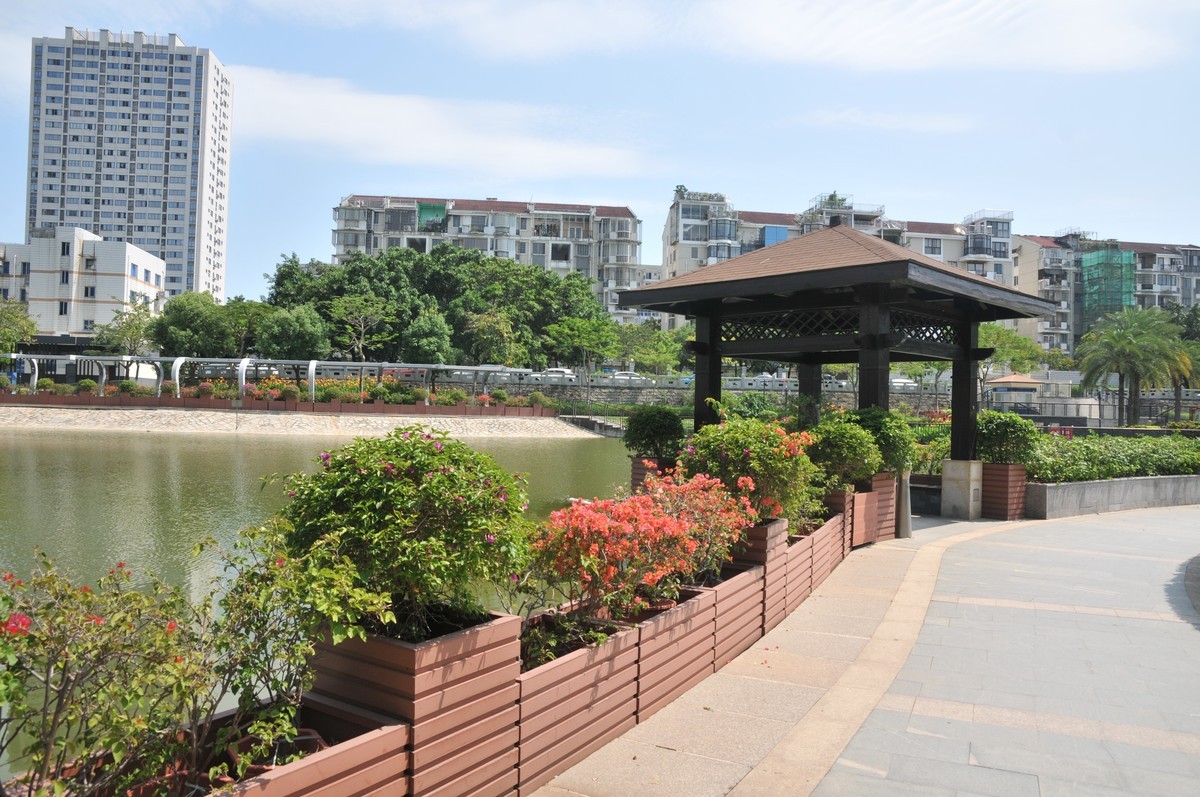 美丽的集美湾海边风光摄影机-89-中关村在线摄影论坛