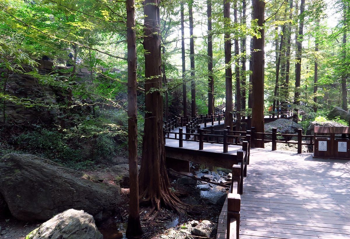 植物园-樱桃沟【二】-中关村在线摄影论坛