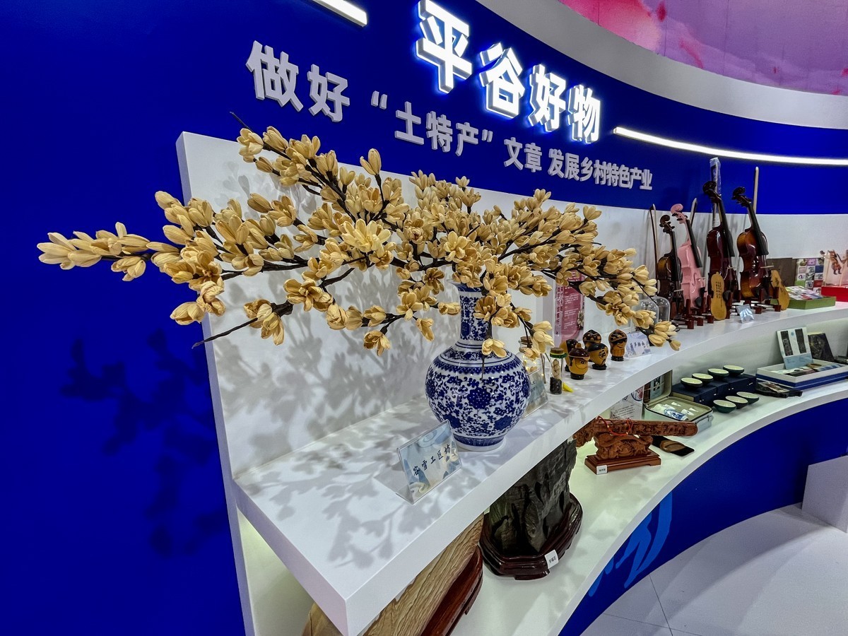 2023年第0672贴-北京服贸会纪实抓拍（0908）-中关村在线摄影论坛