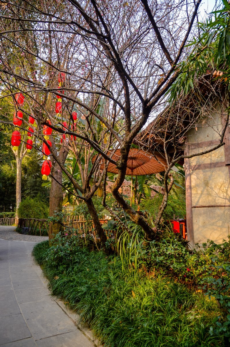 2023年-成都之行纪实游拍-269-中关村在线摄影论坛