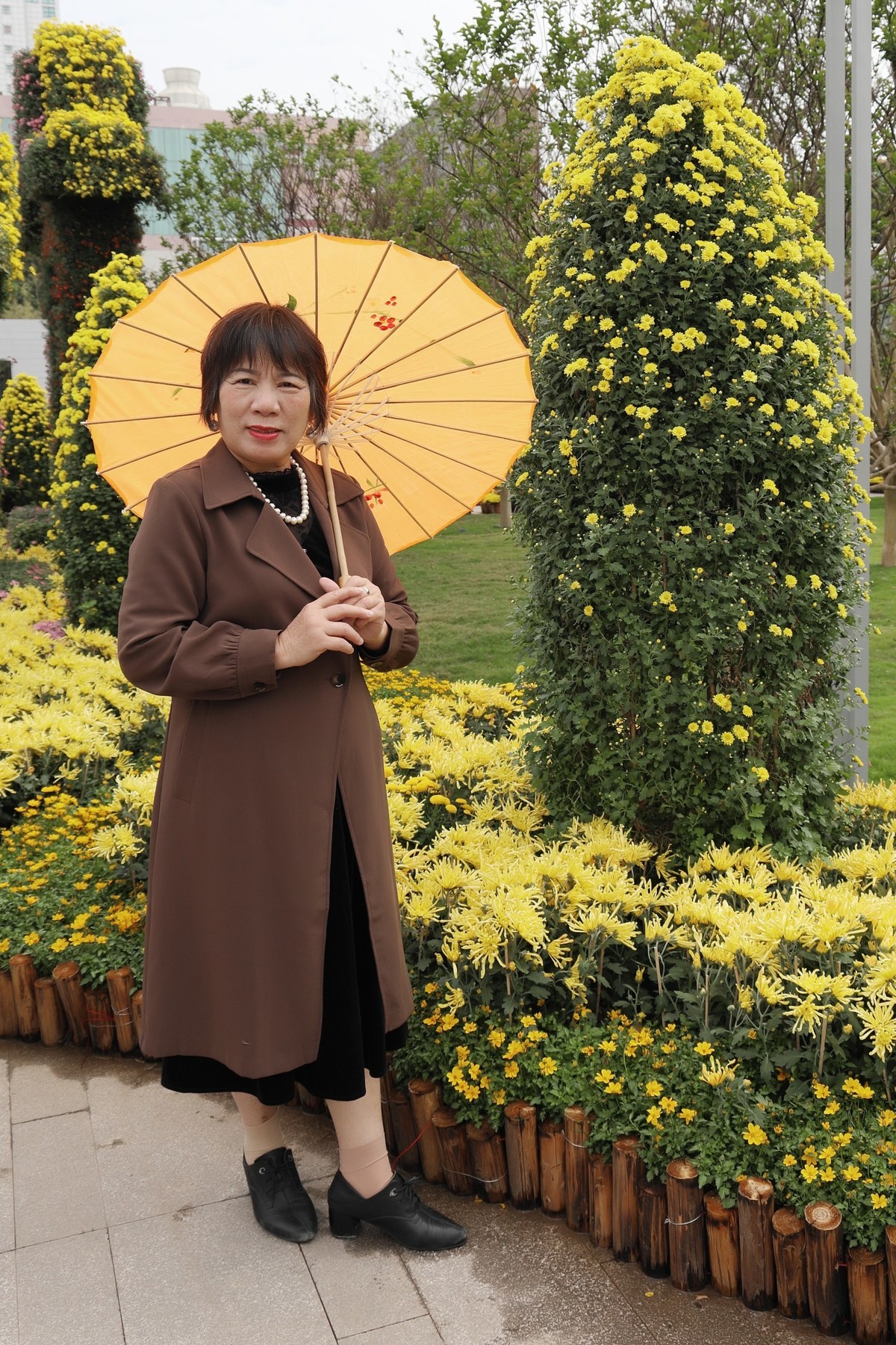 菊——大妈（二）-中关村在线摄影论坛