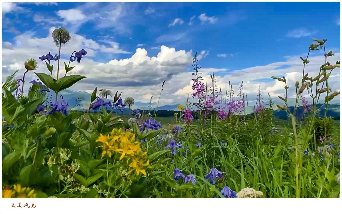 2023年第0505贴-大美风光纪实抓拍（0714）-中关村在线摄影论坛