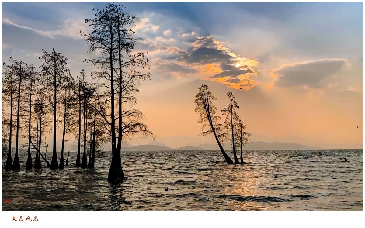 2023年第0506贴-大美风光纪实抓拍（0714）-中关村在线摄影论坛