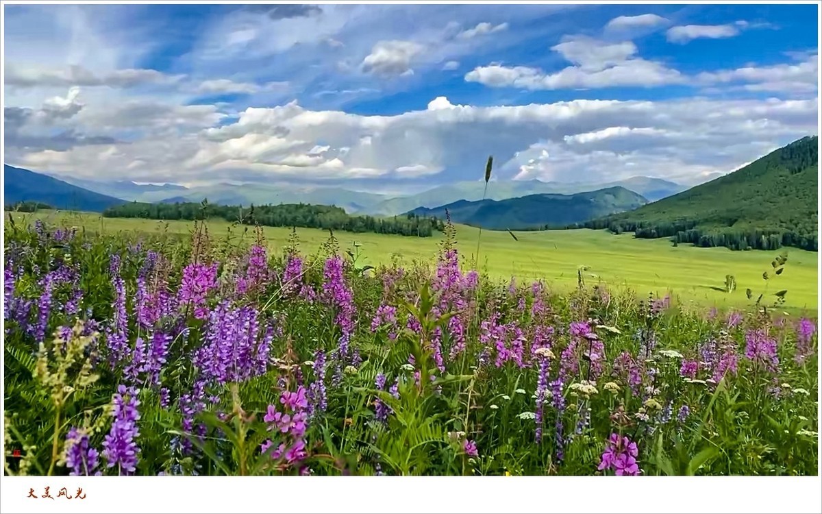 2023年第0505贴-大美风光纪实抓拍（0714）-中关村在线摄影论坛