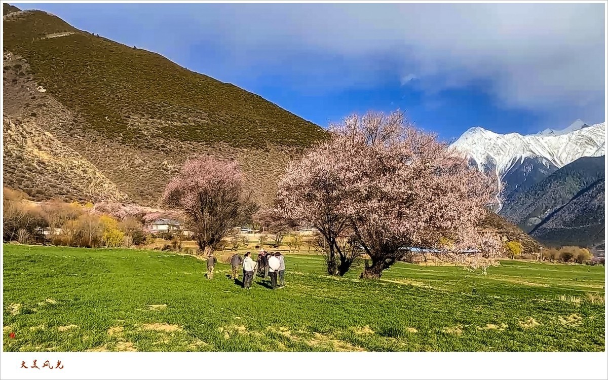 2023年第0506贴-大美风光纪实抓拍（0714）-中关村在线摄影论坛