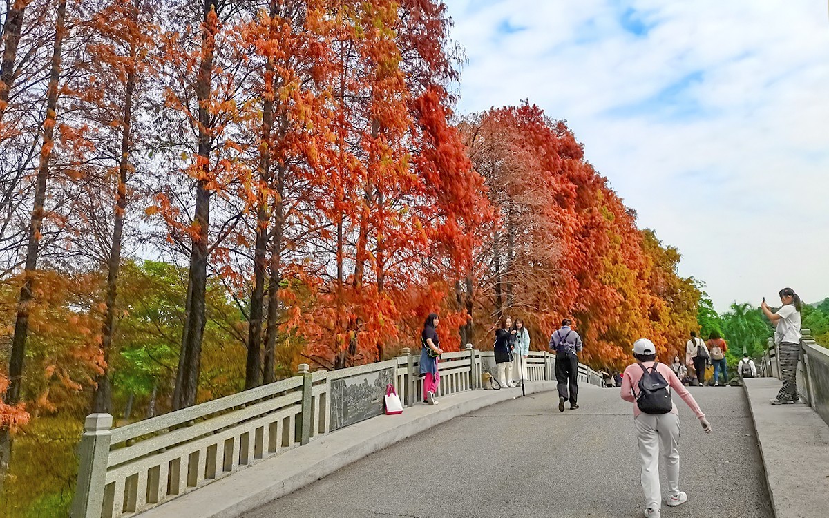 24073 ─ 公园随拍[6]-中关村在线摄影论坛