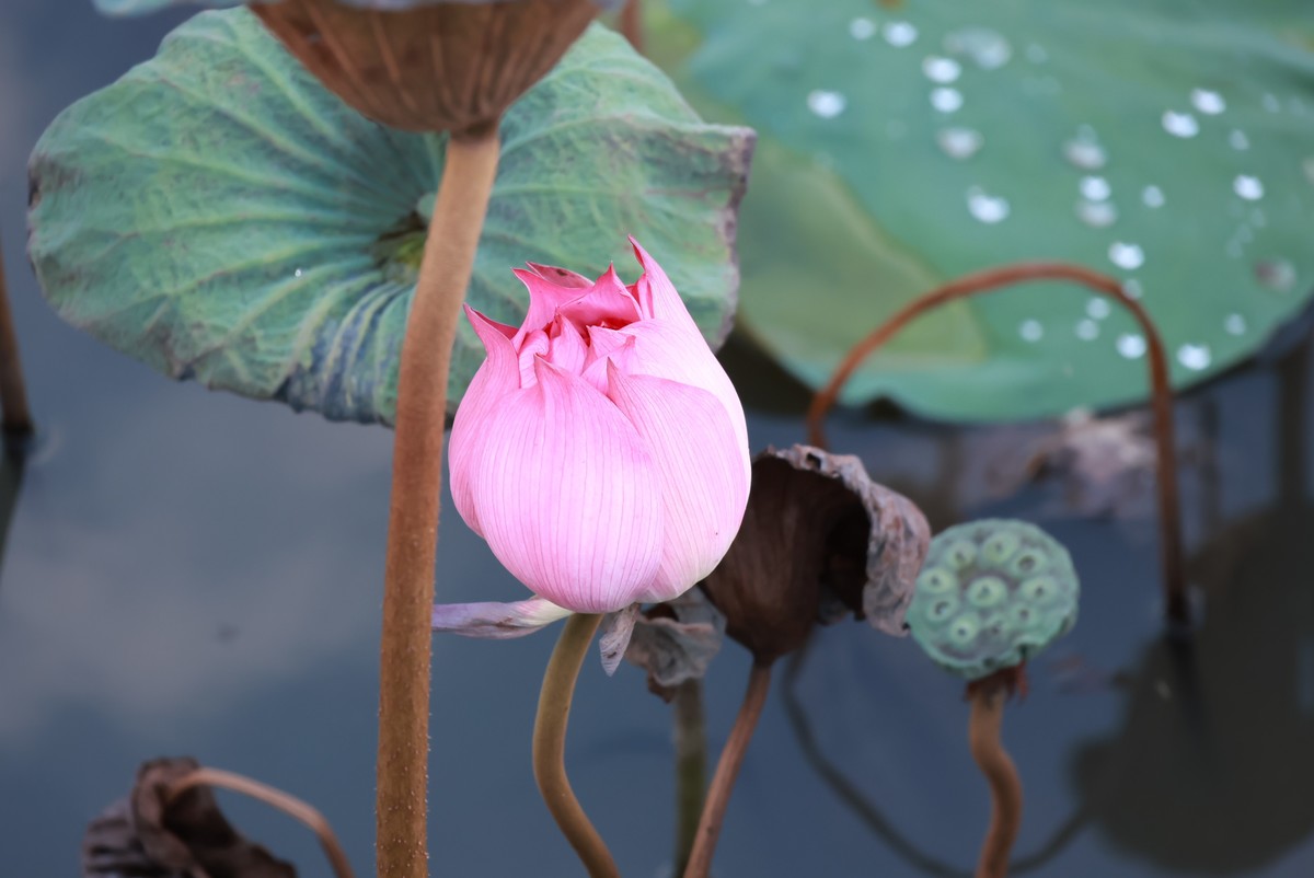 老法师们觉得用佳能R7拍风景怎么样？？-中关村在线摄影论坛