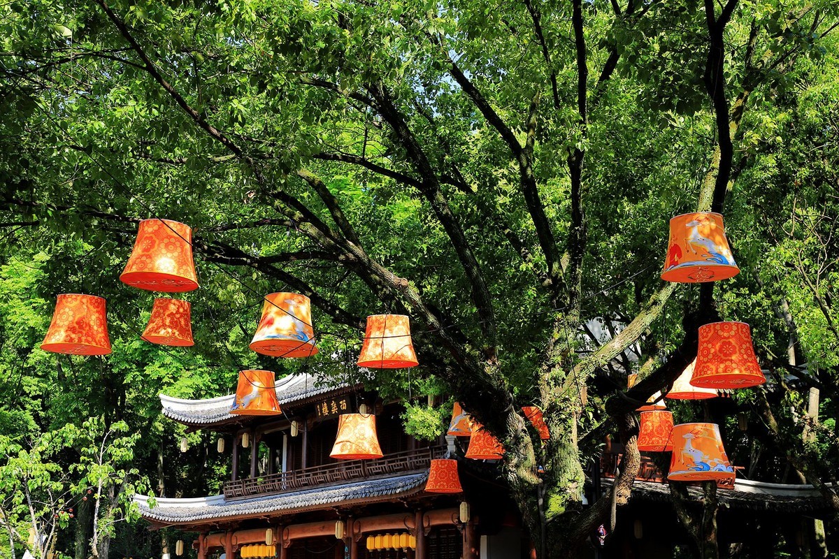 九山书会.大宋戏仓 (3)-中关村在线摄影论坛