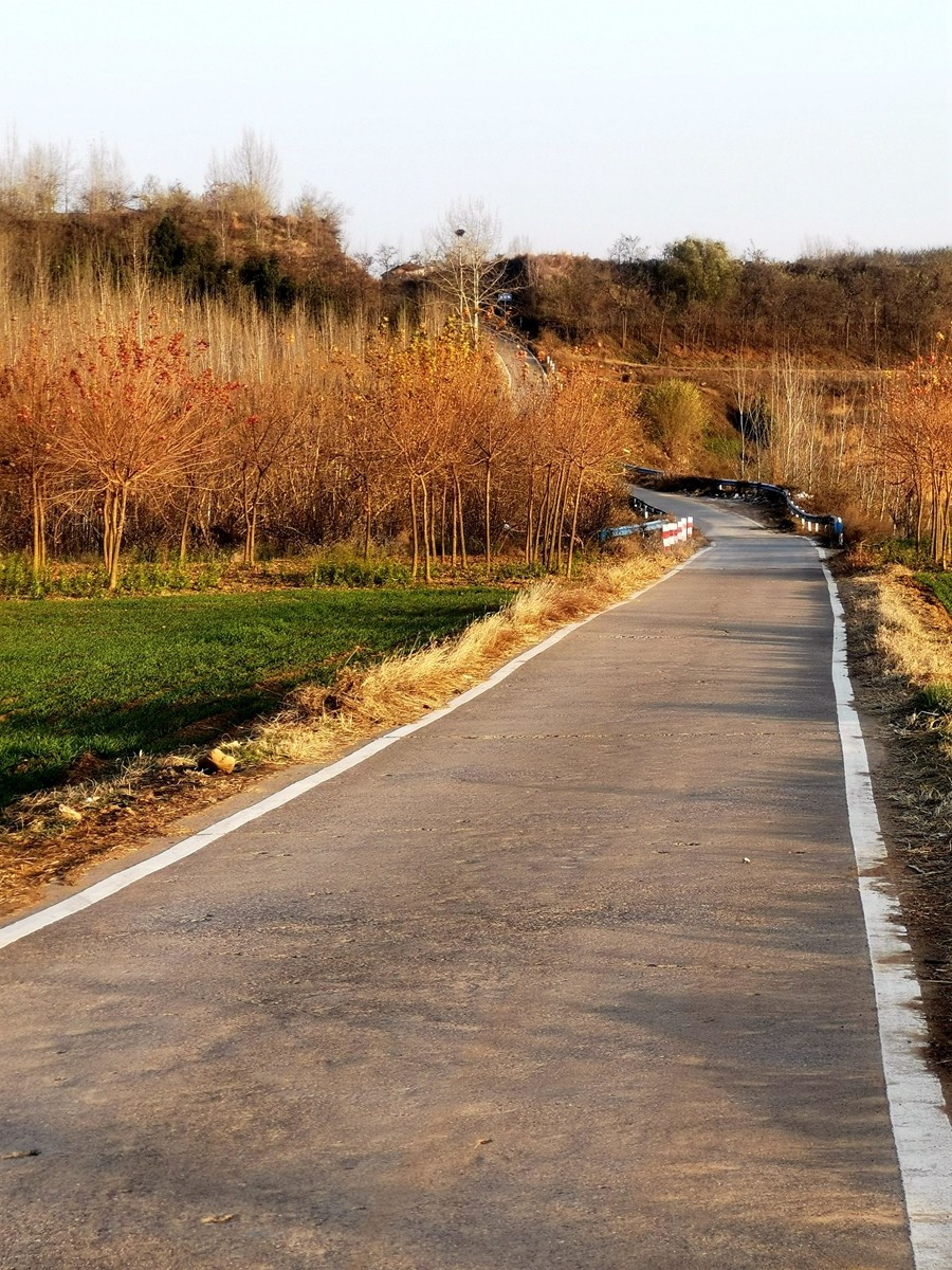 冬藏【下】-中关村在线摄影论坛