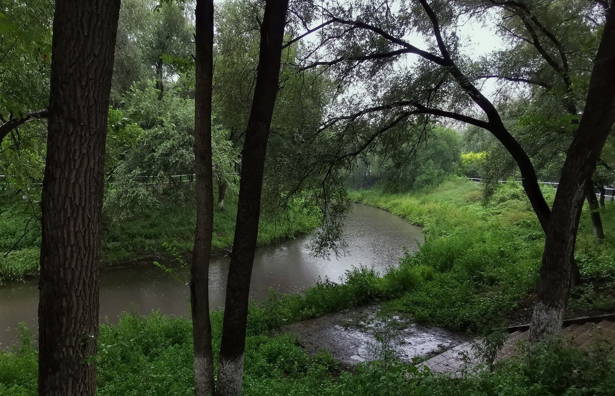 漫步雨中-中关村在线摄影论坛