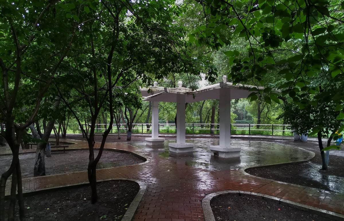 漫步雨中-中关村在线摄影论坛