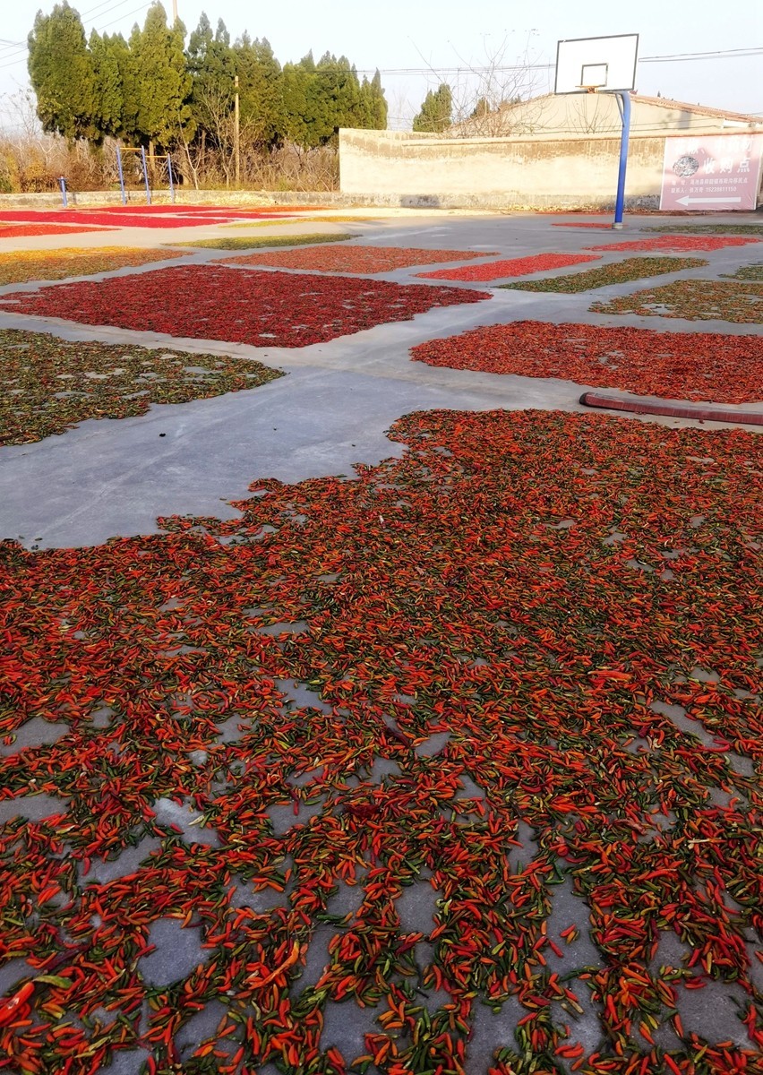 冬藏【下】-中关村在线摄影论坛