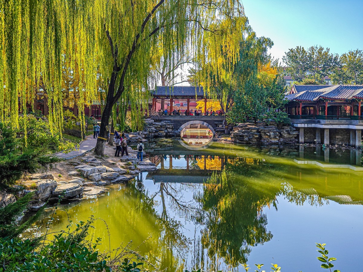 手机游拍20241105 《5》-中关村在线摄影论坛