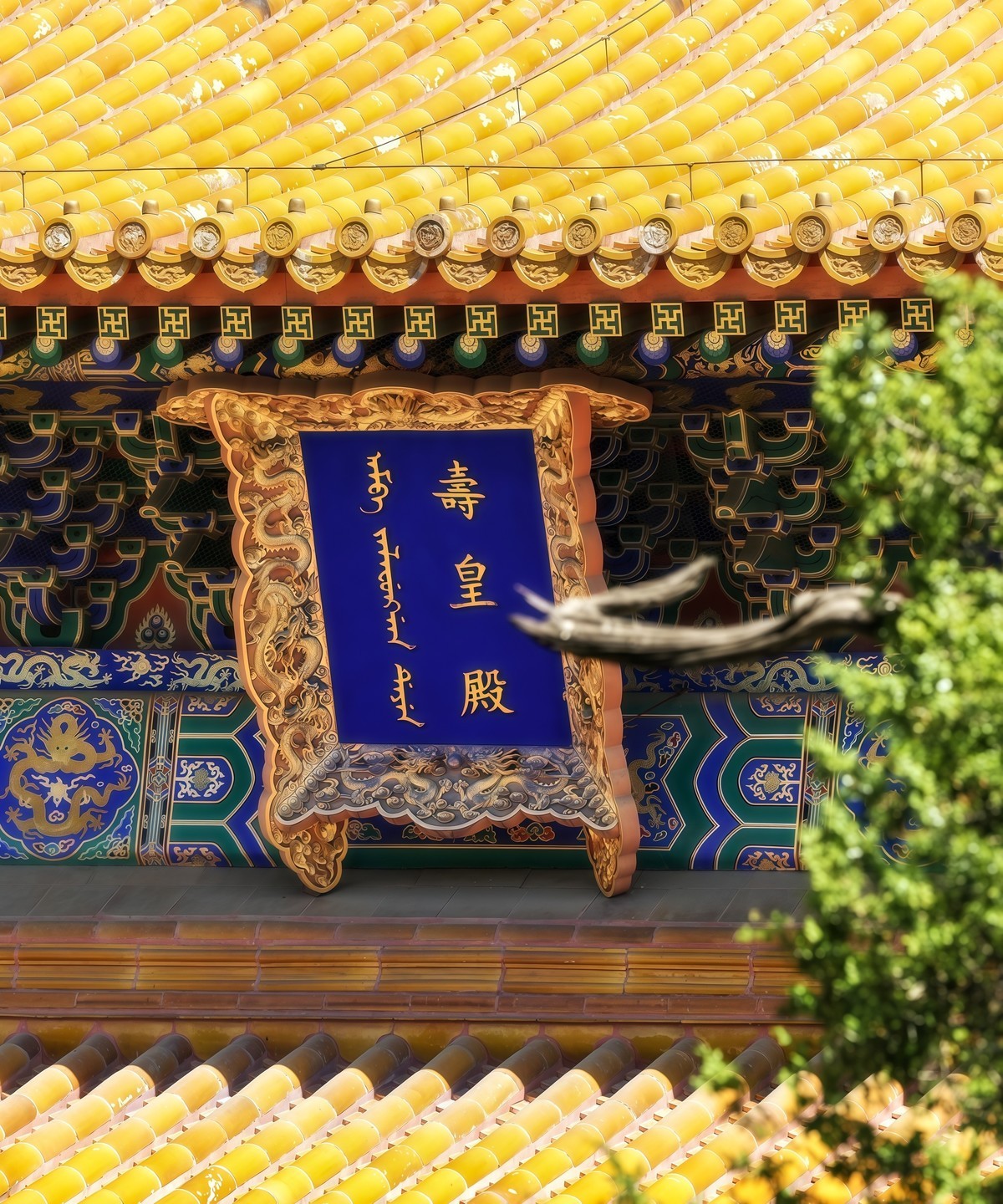 春游景山公园20250422 《6》-中关村在线摄影论坛