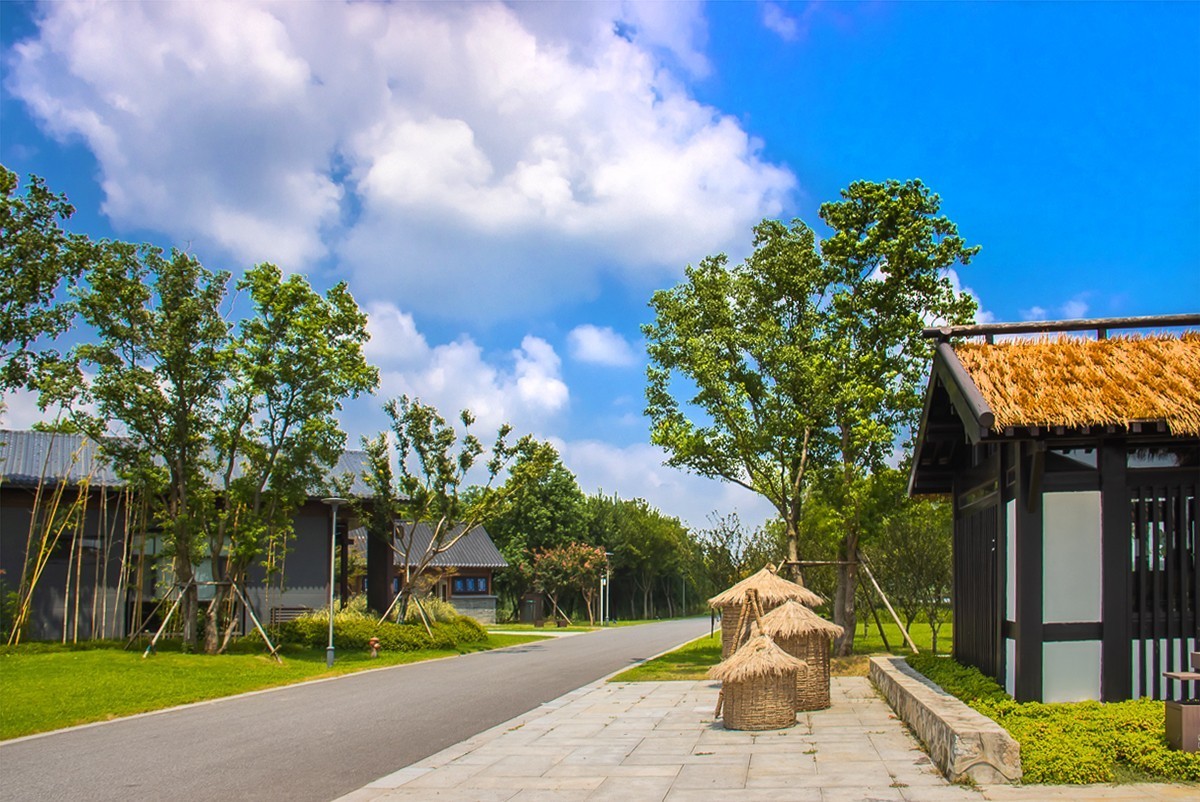 2023-08-13扬州北湖湿地公园（八）-中关村在线摄影论坛