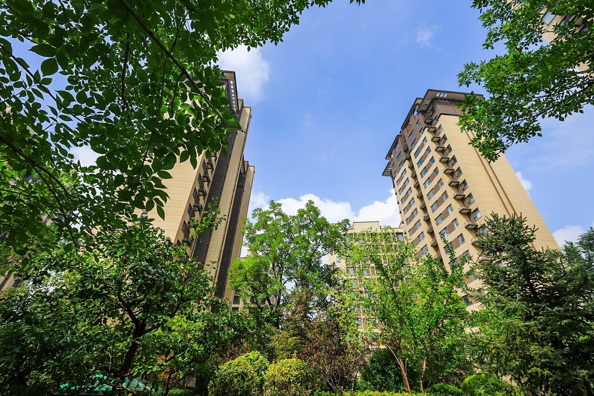 闲拍-中关村在线摄影论坛