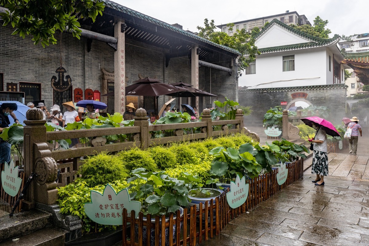 六榕宝莲文化节（二）-中关村在线摄影论坛