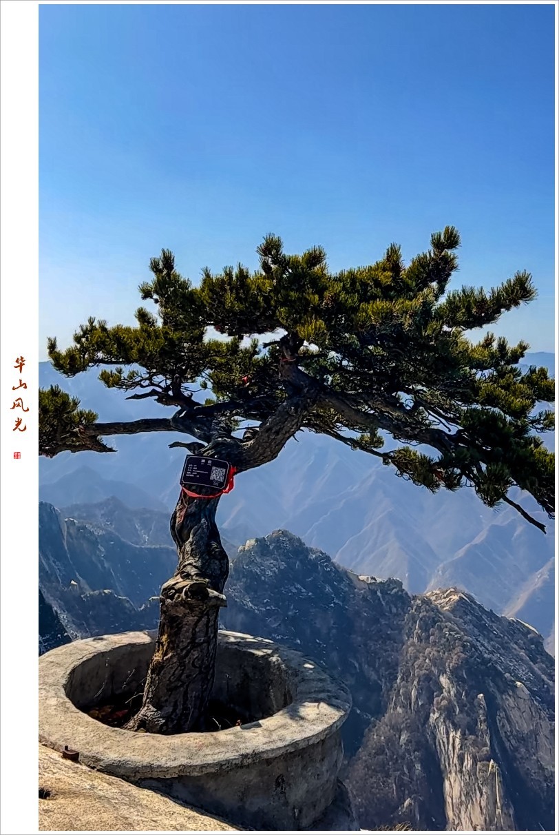 2023年第0154贴-华山抓拍集锦（0312F）-中关村在线摄影论坛