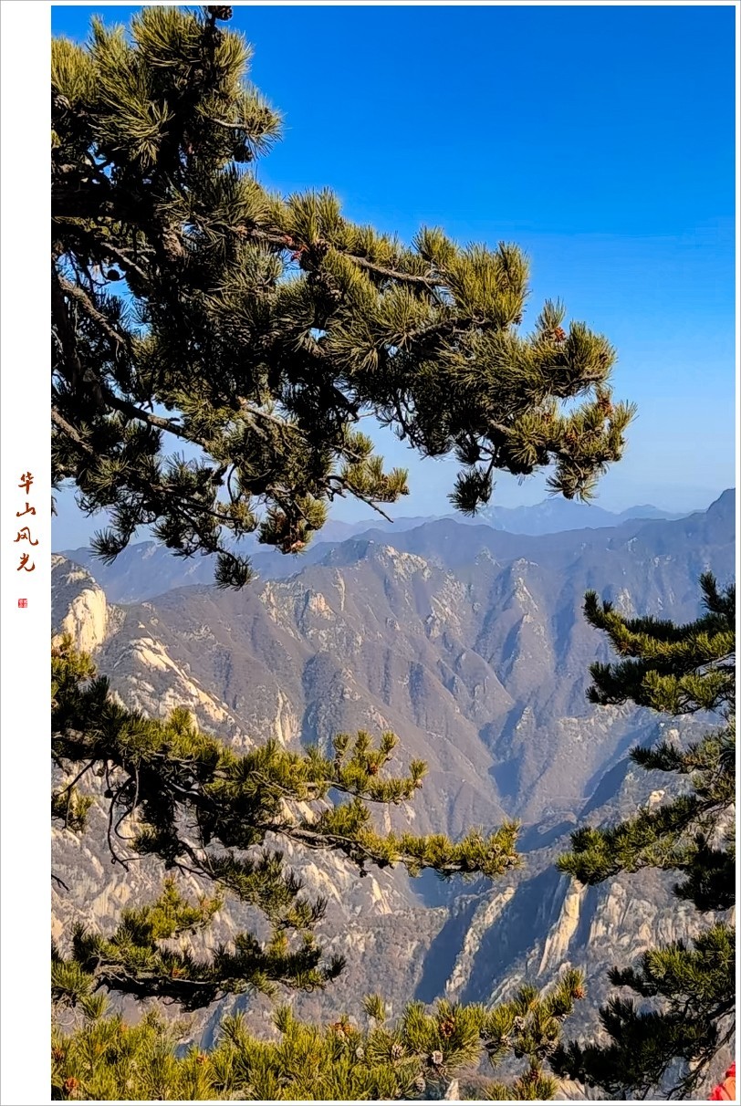 2023年第0156贴-华山抓拍集锦（0312F）-中关村在线摄影论坛