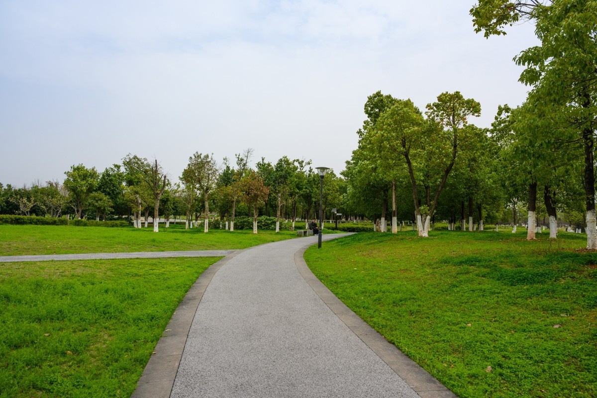 松雅湖-中关村在线摄影论坛