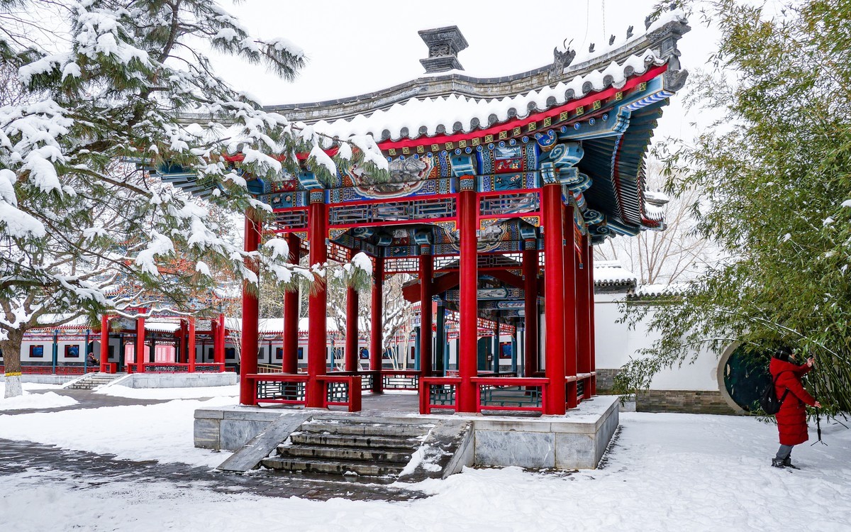 雪后的京城20240221 《50》-中关村在线摄影论坛