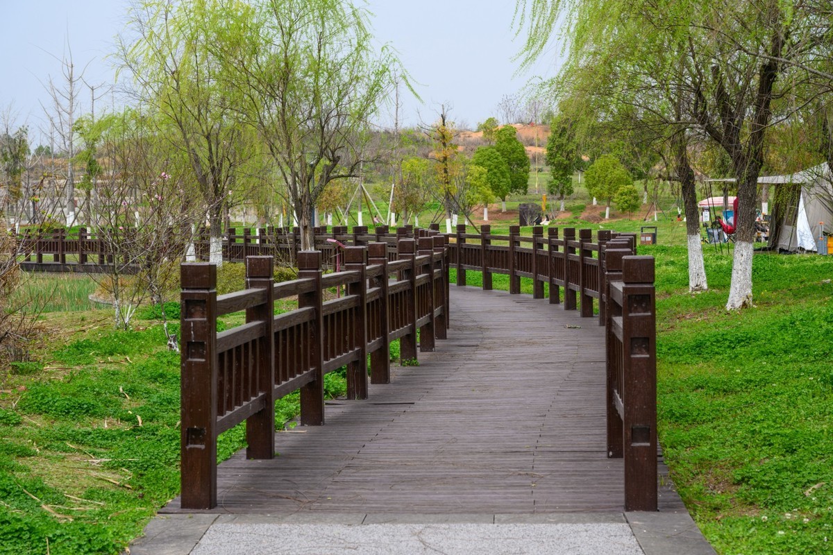 松雅湖-中关村在线摄影论坛