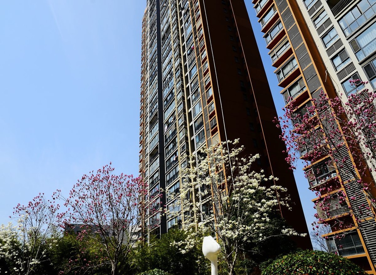 花卉系列【5306】-中关村在线摄影论坛