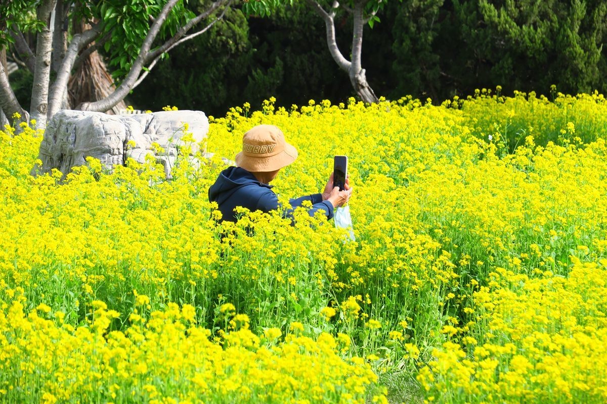 花卉大观园【中】-中关村在线摄影论坛