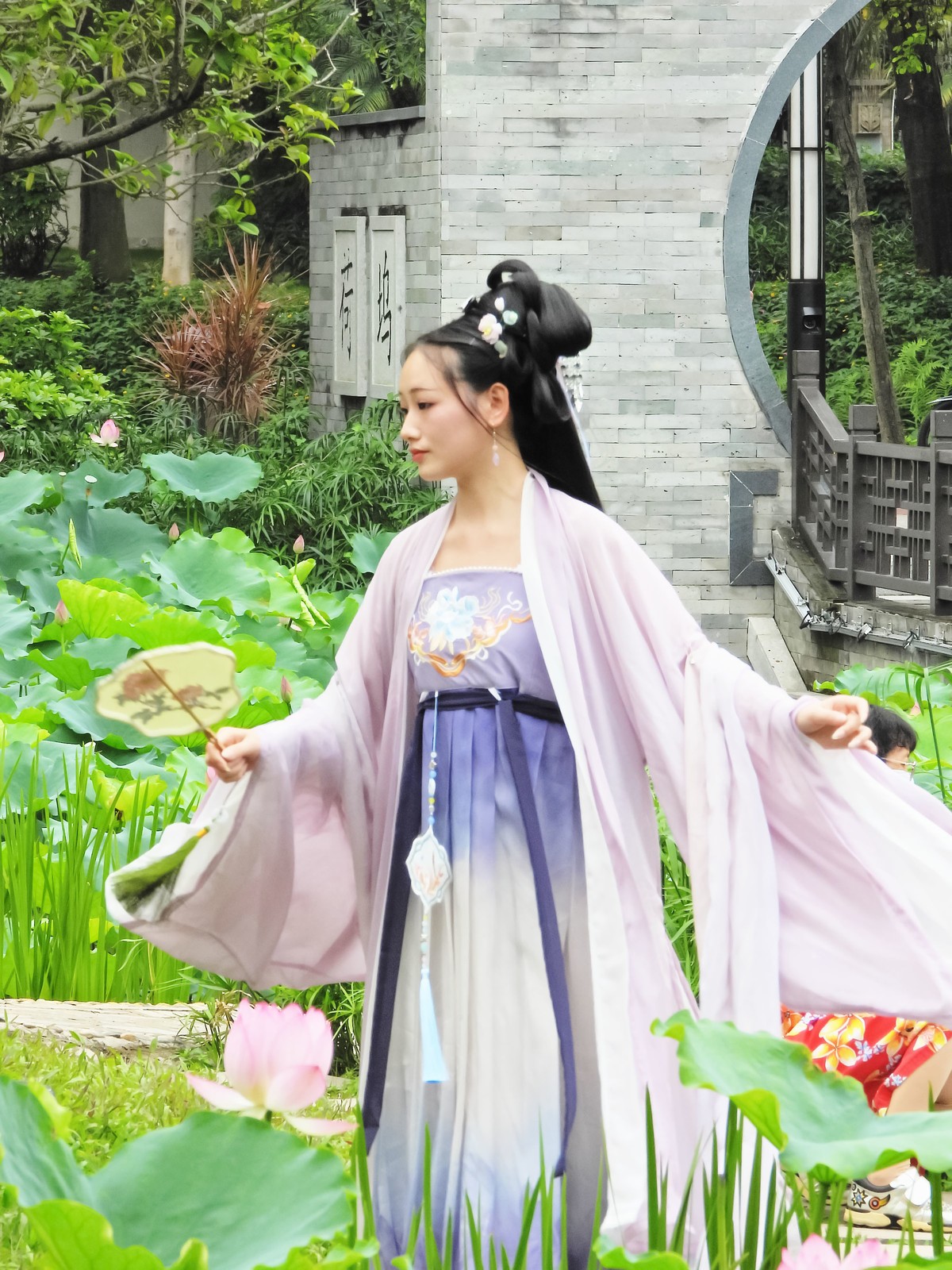 荷花仙子下凡来-中关村在线摄影论坛