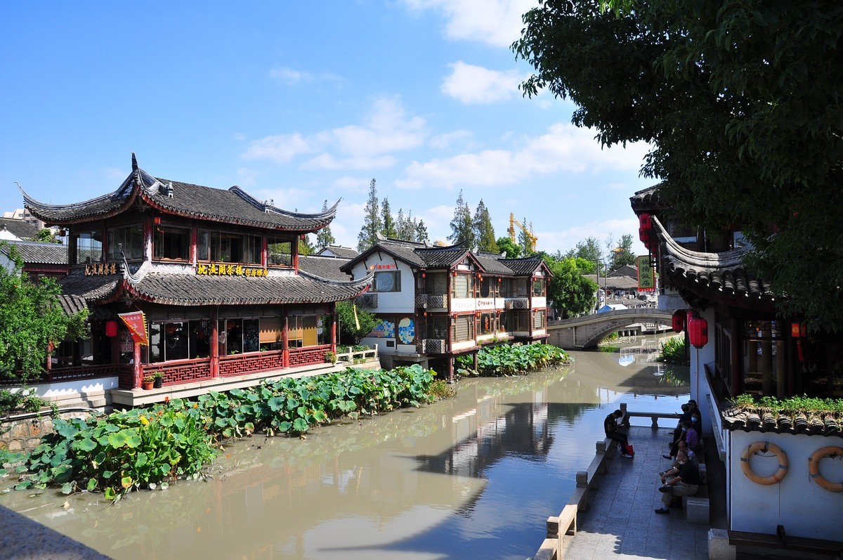 《古董配腾龙》-中关村在线摄影论坛