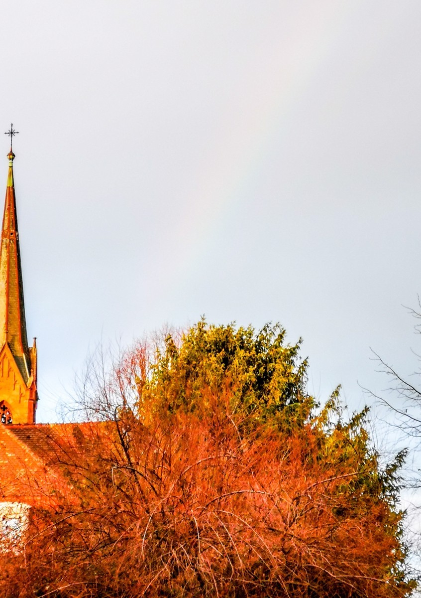 冬秀春色-中关村在线摄影论坛
