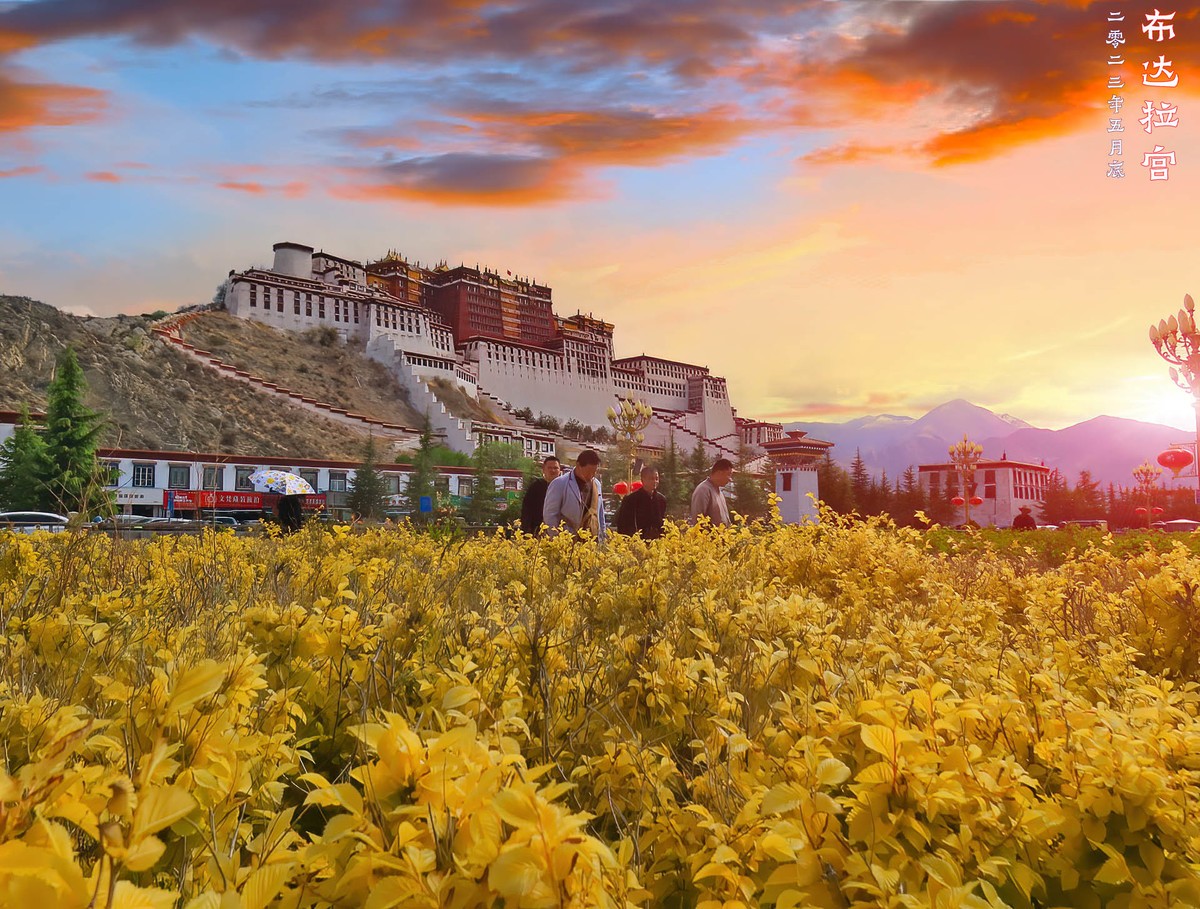 布达拉宫 (2)-中关村在线摄影论坛